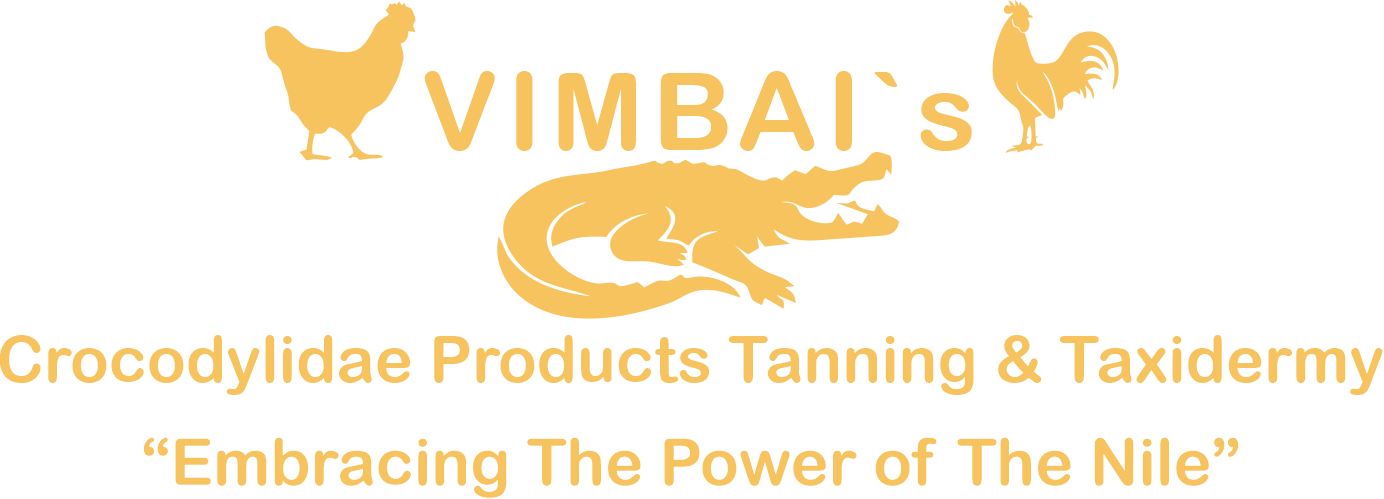 Vimbai`s Crocodylidae Products